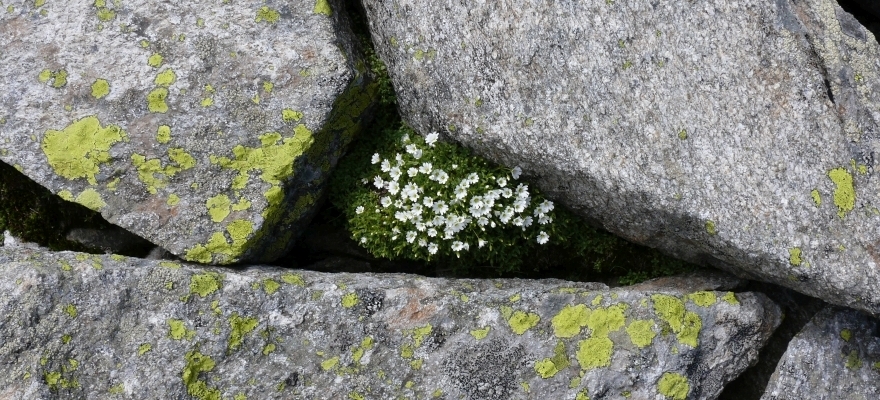 Lehrstuhl für Biogeografie
