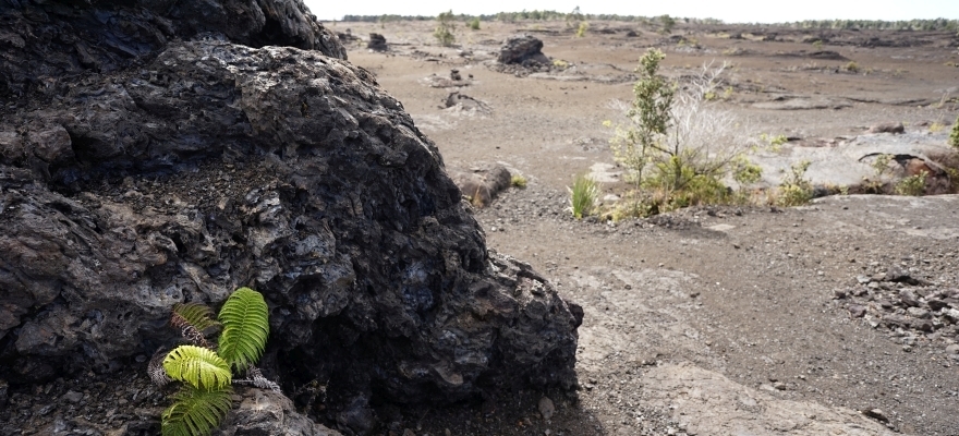 Lehrstuhl für Biogeografie