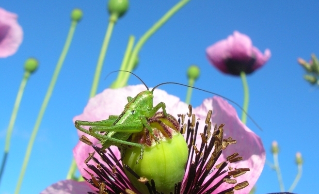 Lehrstuhl für Biogeografie