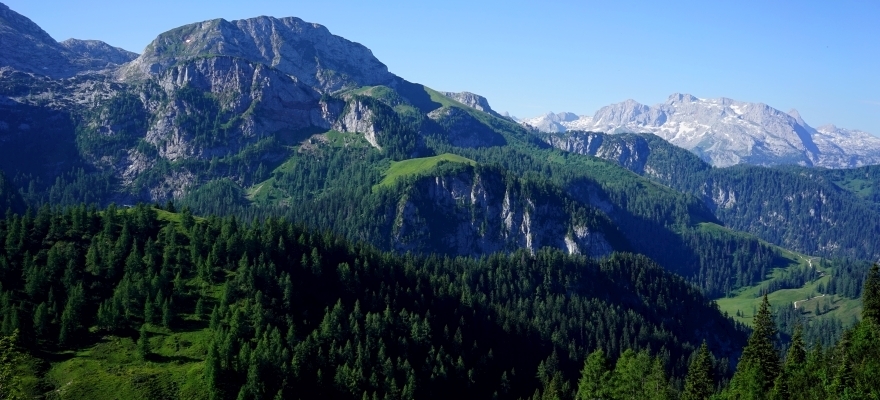 Lehrstuhl für Biogeografie