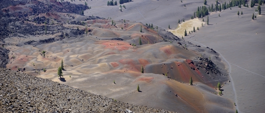 Lehrstuhl für Biogeografie