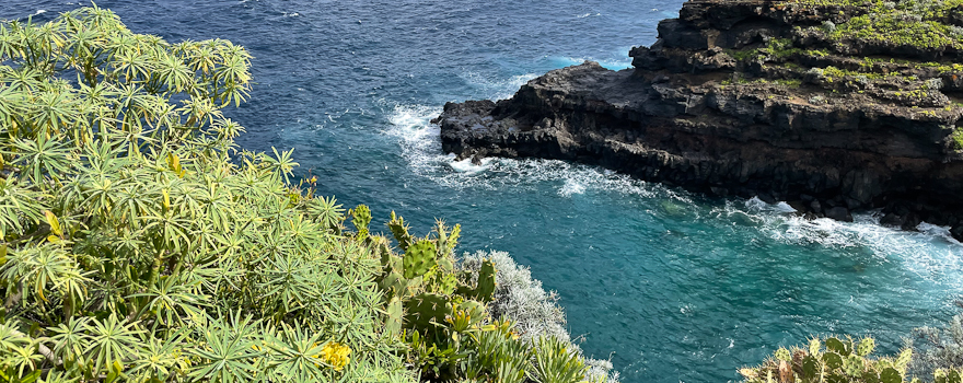 Lehrstuhl für Biogeografie